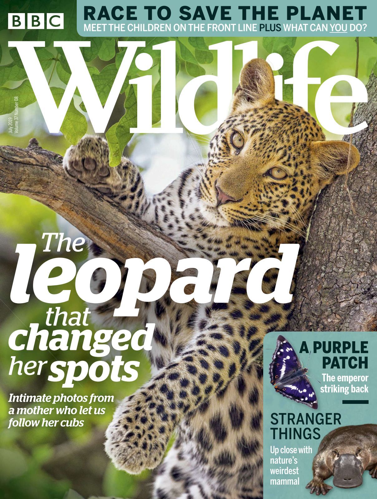 BBC Wildlife - issue 07/2019