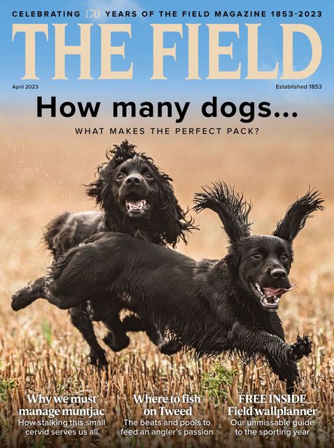 The Field Magazine - 2023-03-16