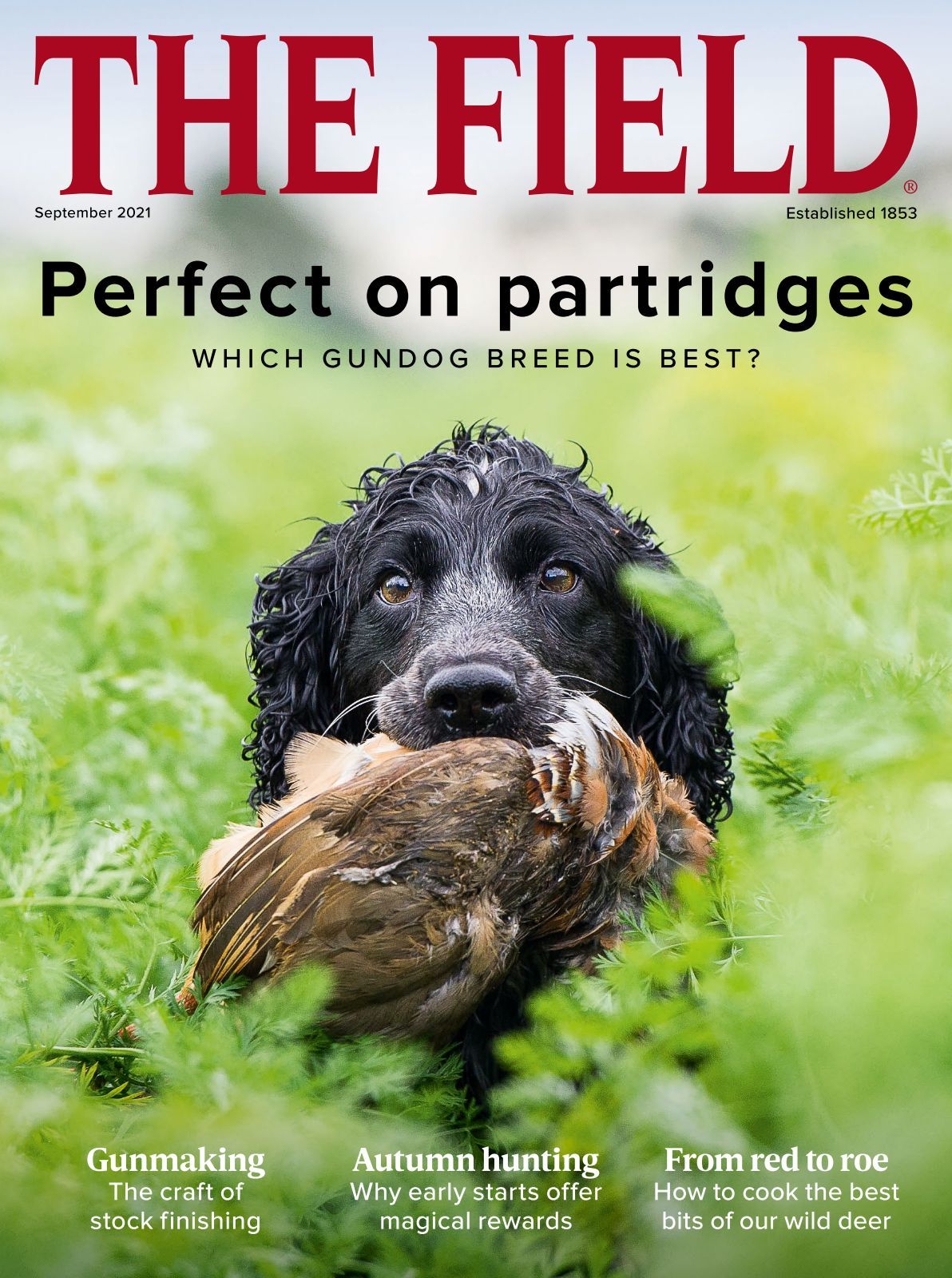 The Field Magazine - issue 09/2021