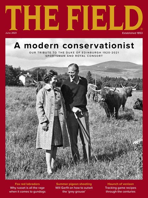 The Field Magazine - issue 06/2021