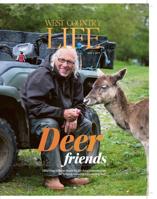 Western Daily Press - 2019-06-01