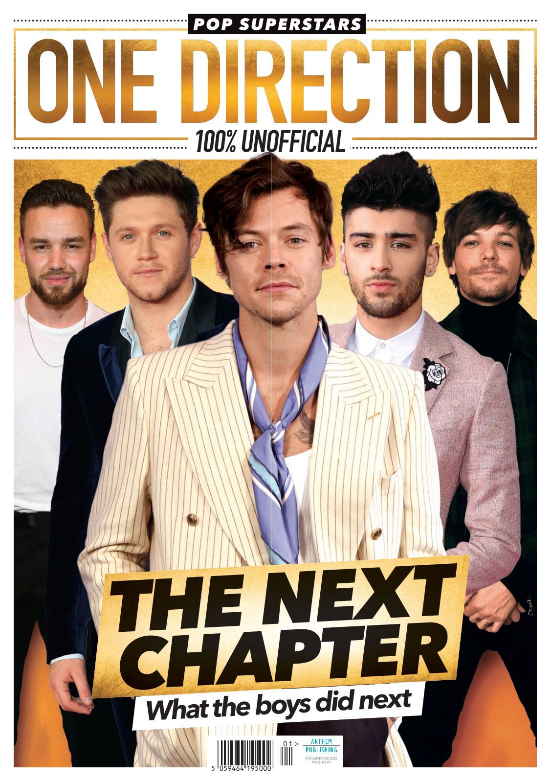 Pop Stars - One Direction: The Next Chapter