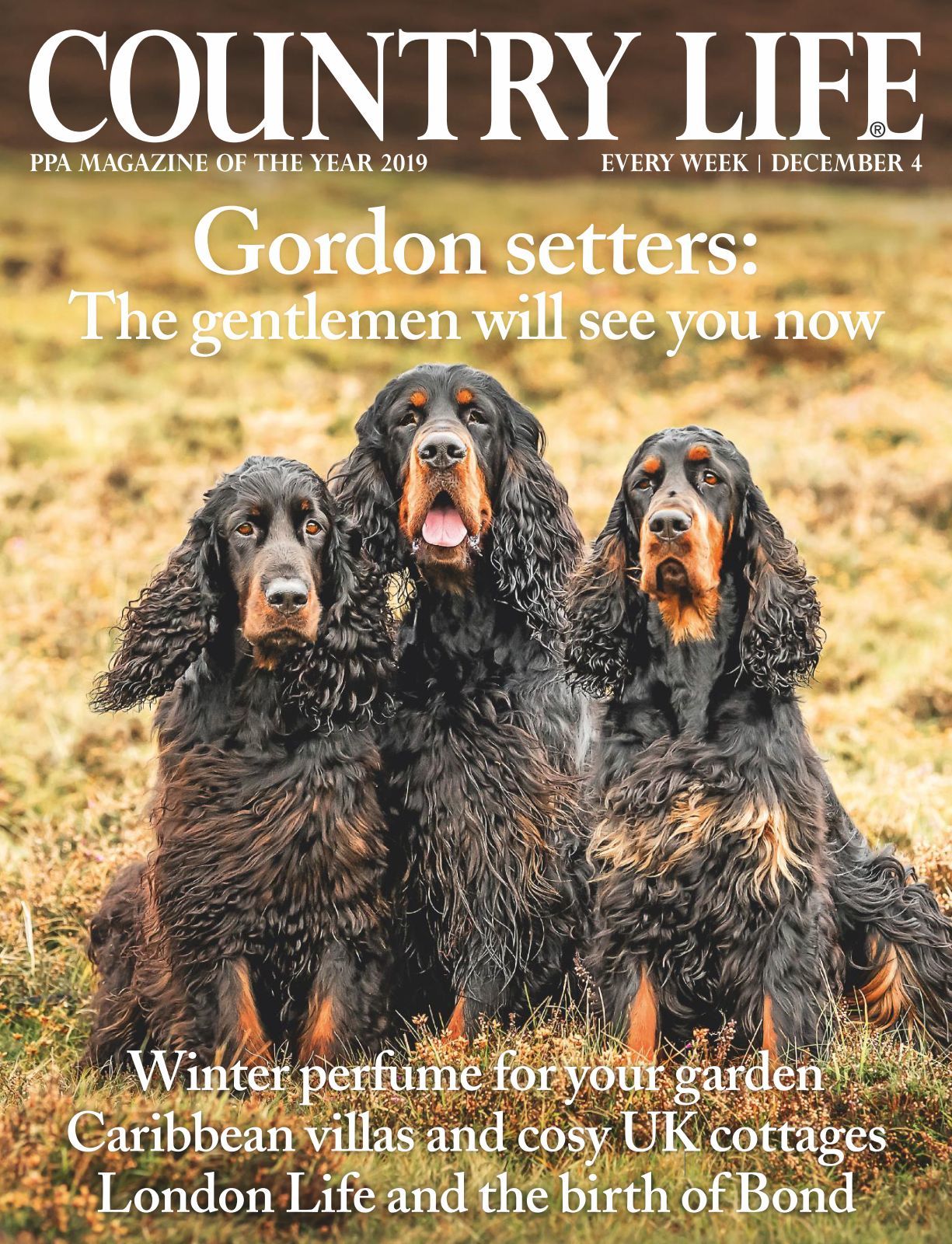 Country Life Magazine - 2019-12-04