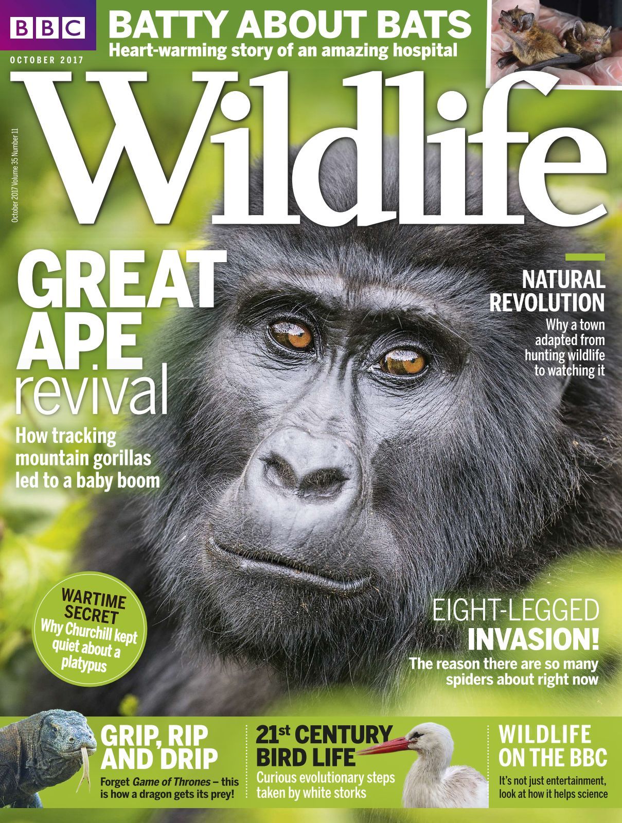 BBC Wildlife - issue 10/2017