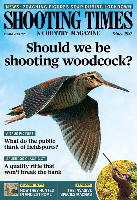 Shooting Times & Country Magazine - 2020-11-25