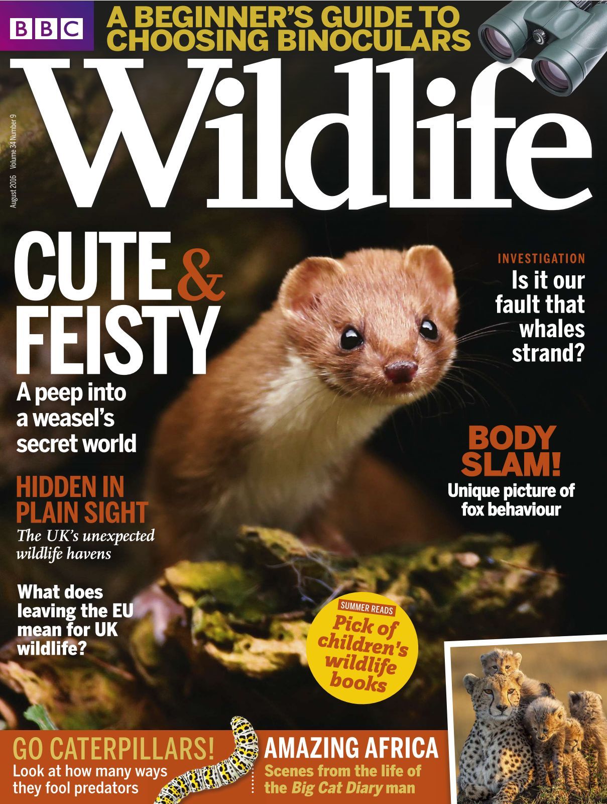 BBC Wildlife - issue 08/2016
