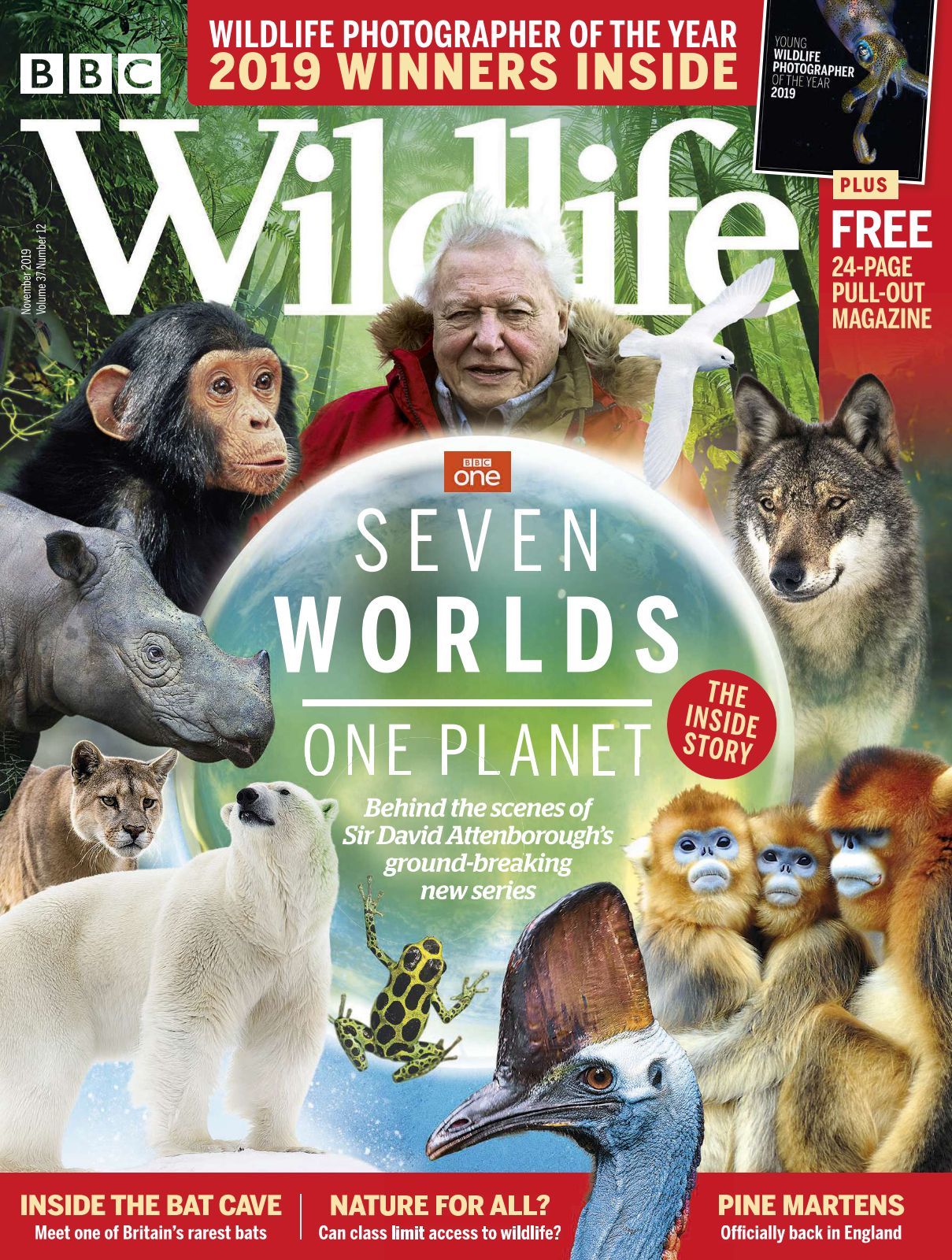 BBC Wildlife - issue 11/2019