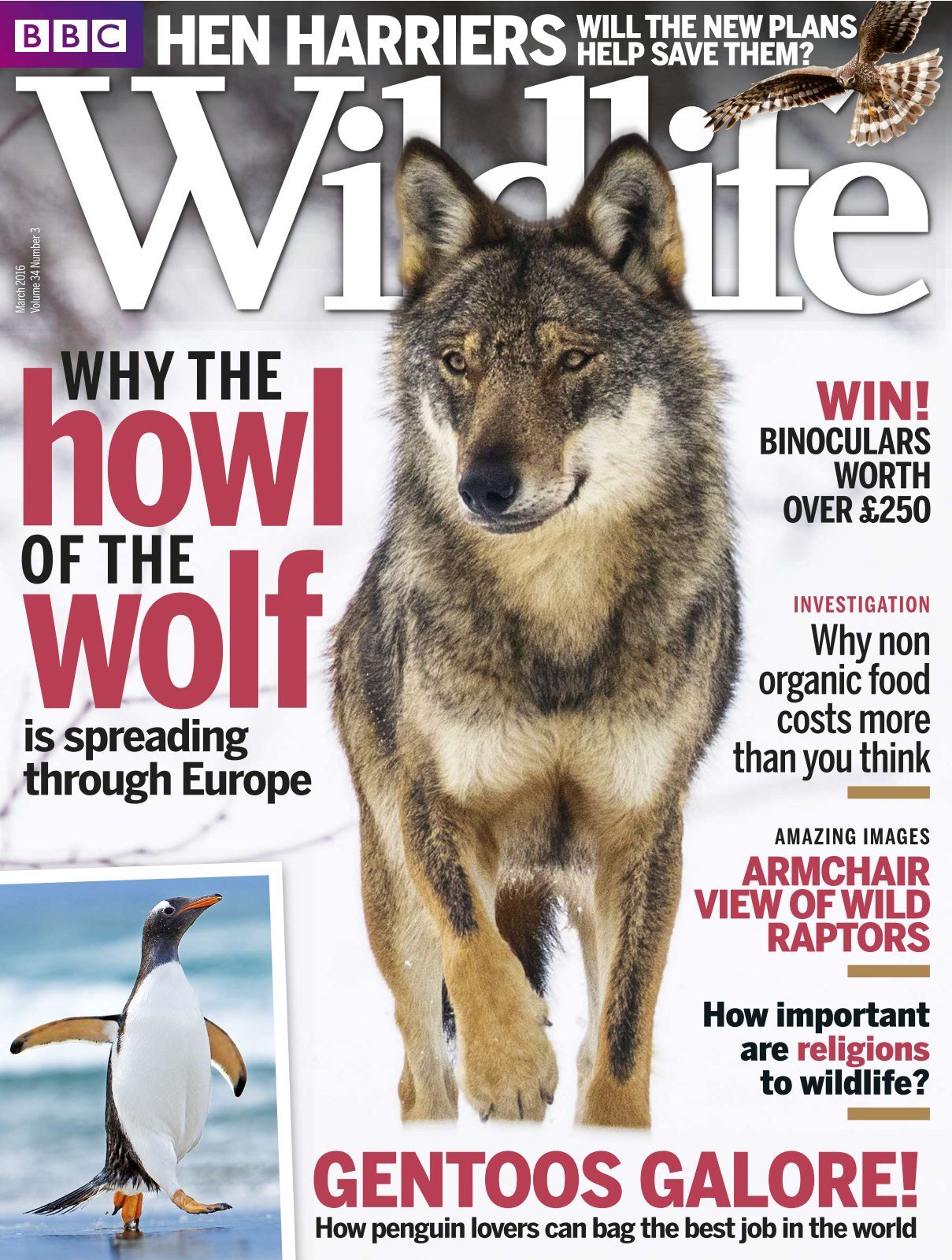 BBC Wildlife - issue 03/2016