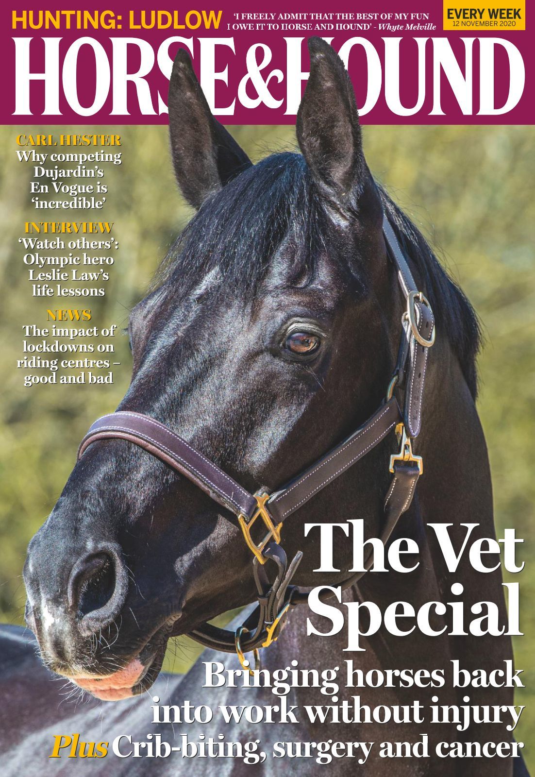 Horse & Hound Magazine - 2020-11-12
