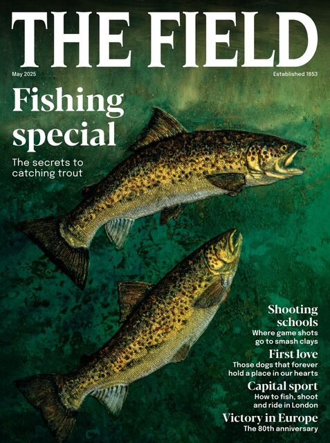 The Field Magazine - 2025-04-17