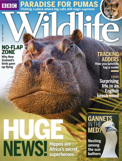 BBC Wildlife - issue 07/2016