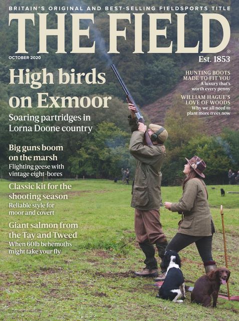 The Field Magazine - issue 10/2020