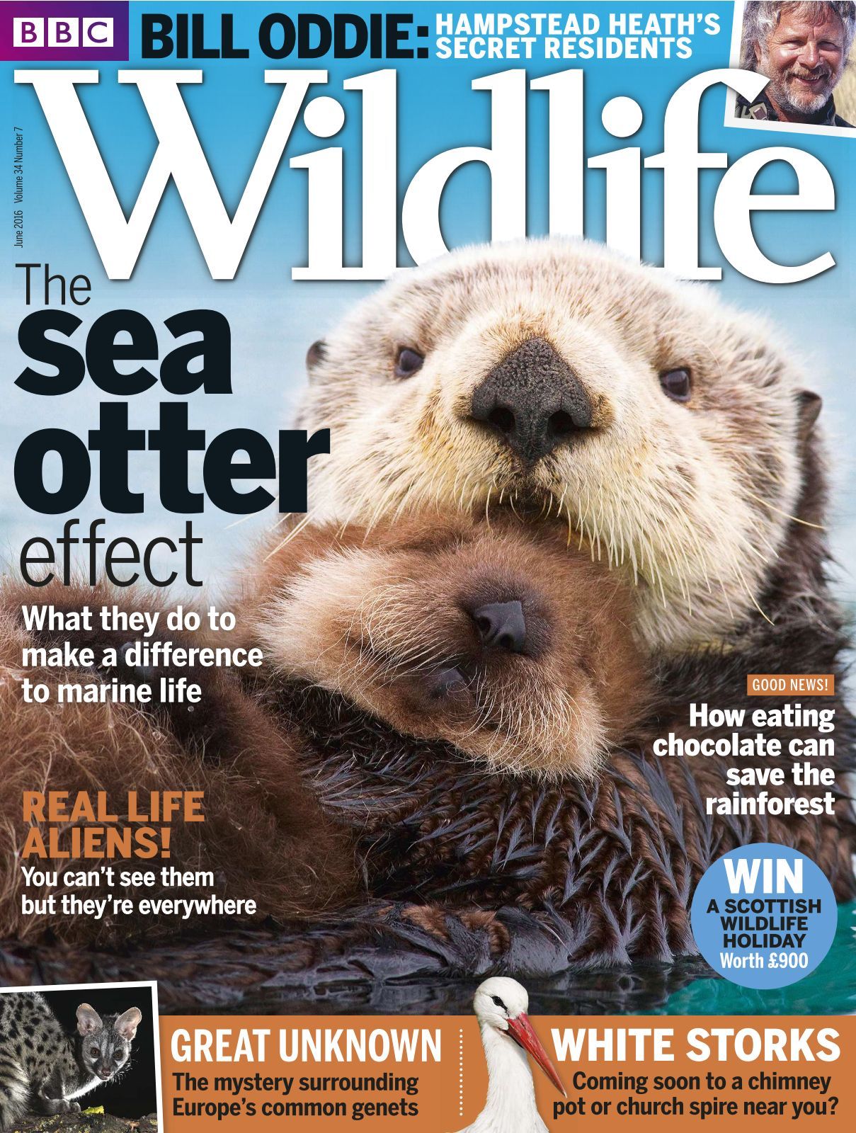 BBC Wildlife - issue 06/2016