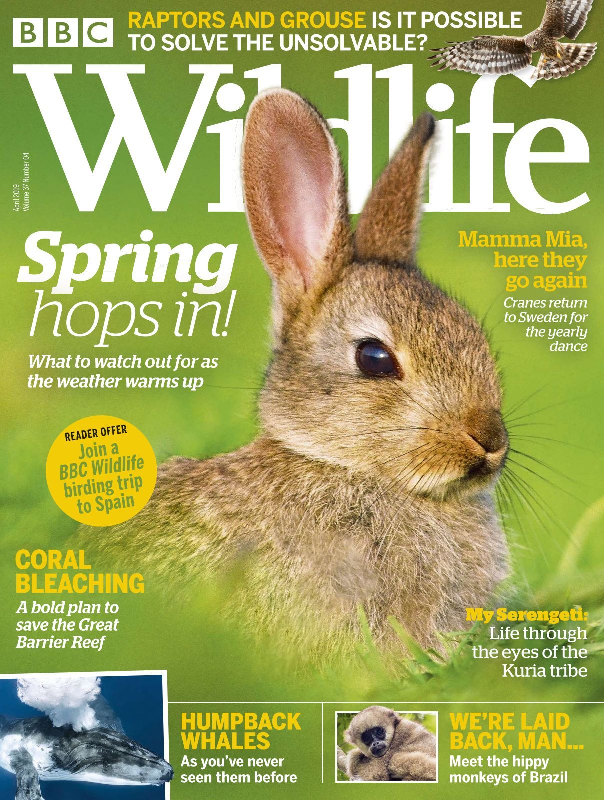 BBC Wildlife - issue 04/2019