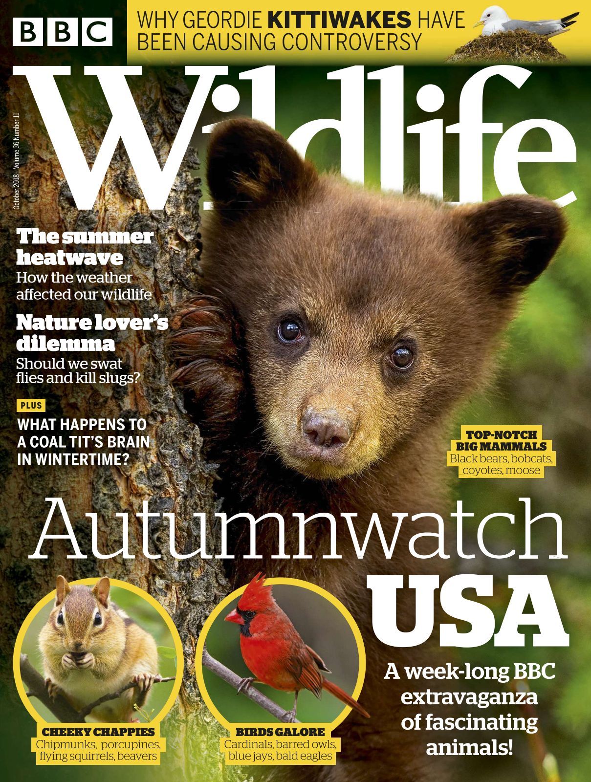 BBC Wildlife - issue 10/2018