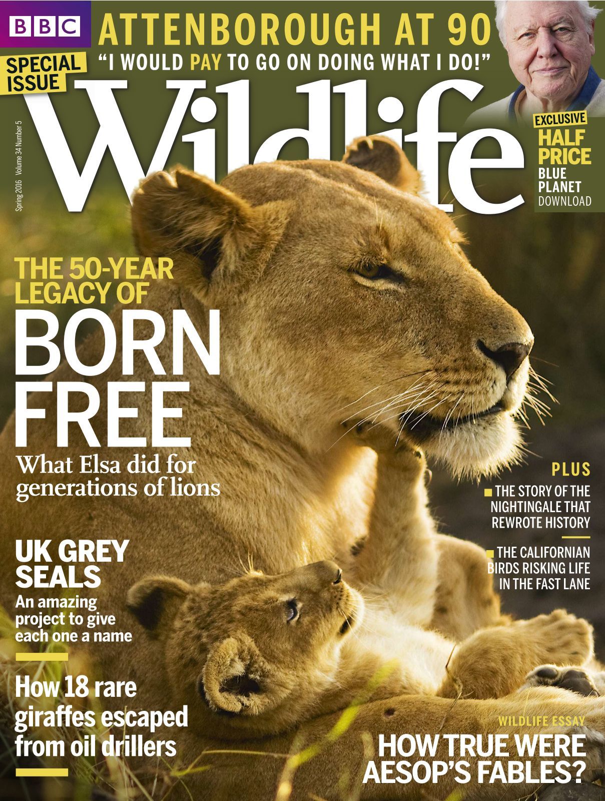 BBC Wildlife - issue Spring 2016