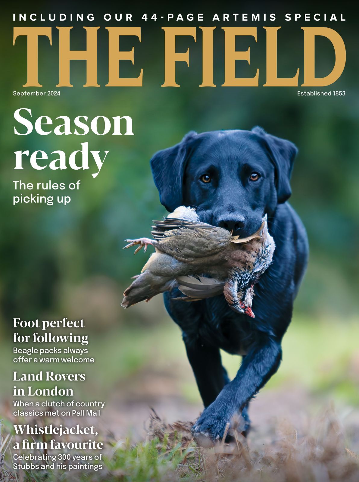 The Field Magazine - 2024-08-15