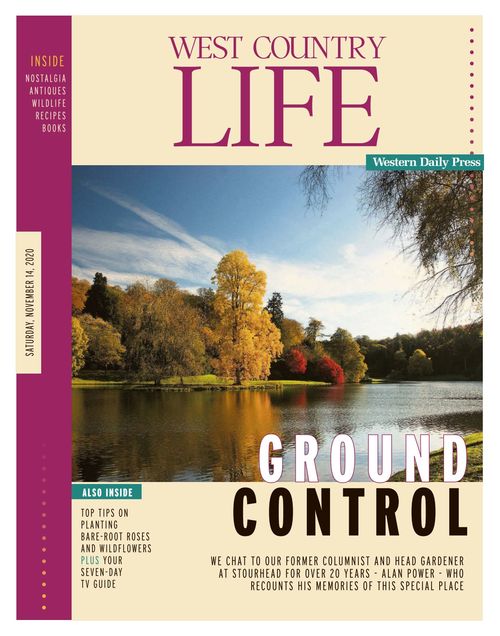 Western Daily Press - 2020-11-14