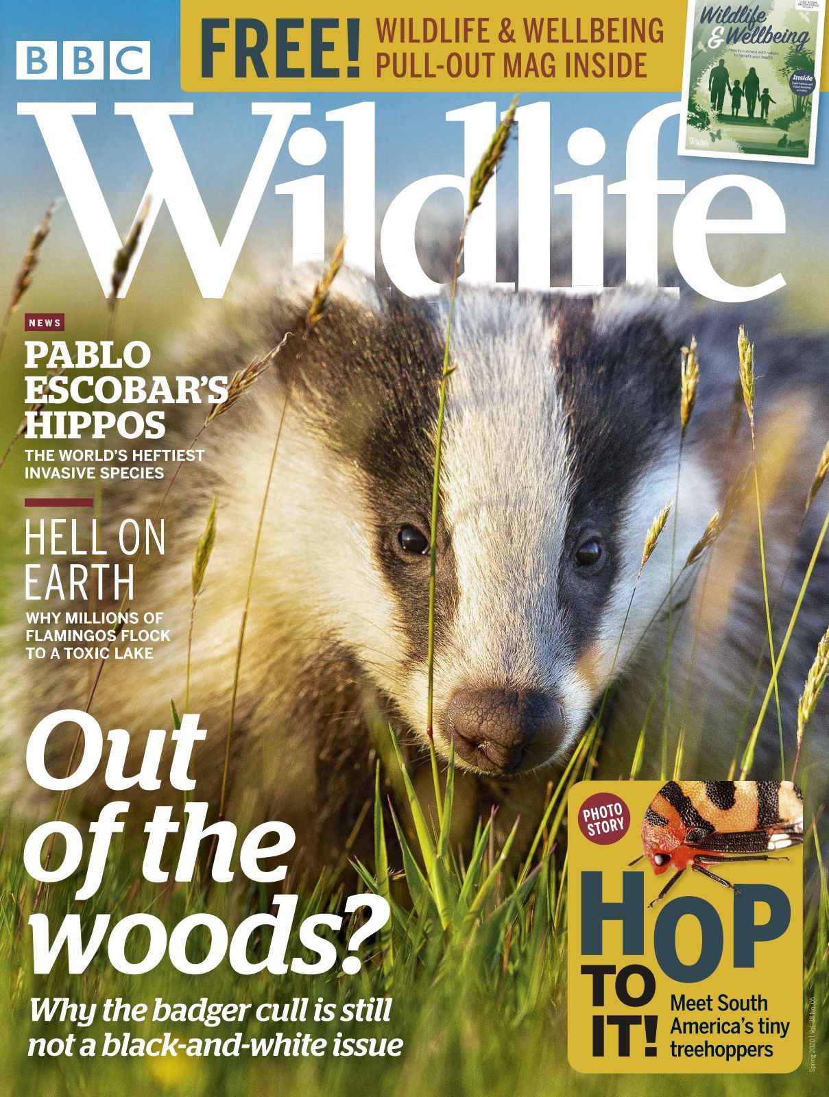 BBC Wildlife - issue Spring 2020