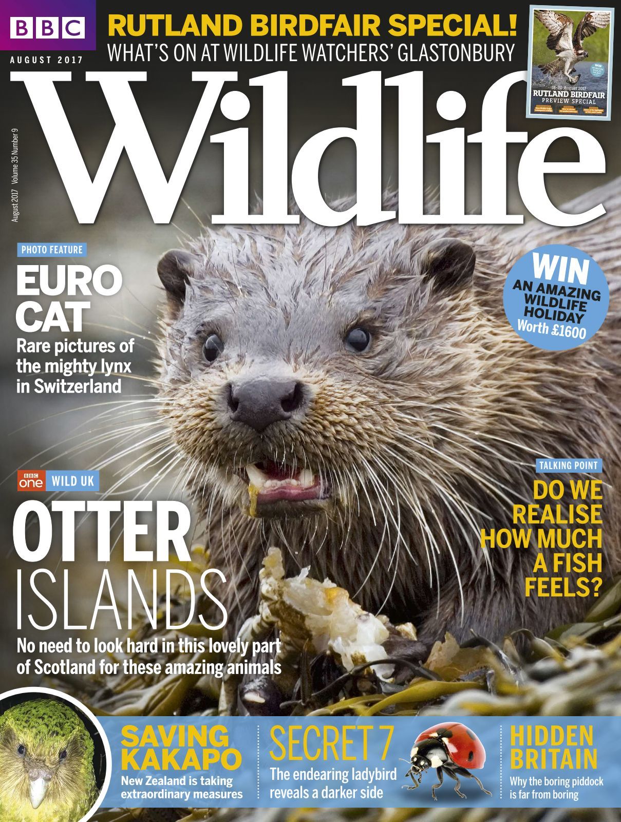 BBC Wildlife - issue 08/2017