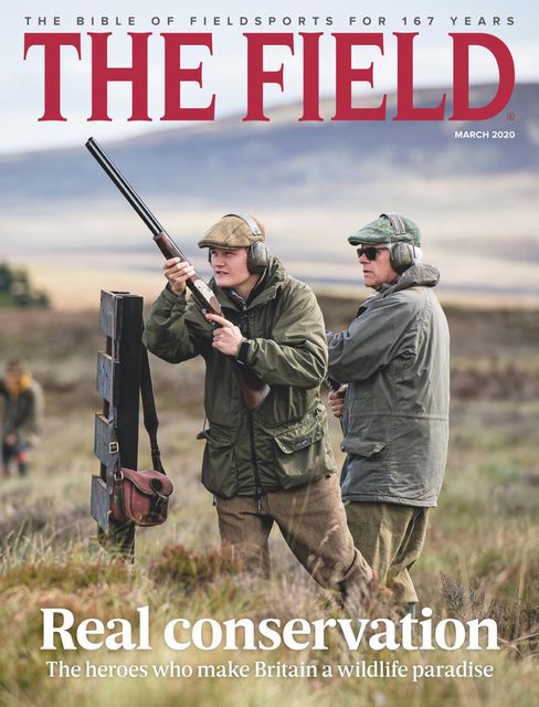 The Field Magazine - issue 03/2020