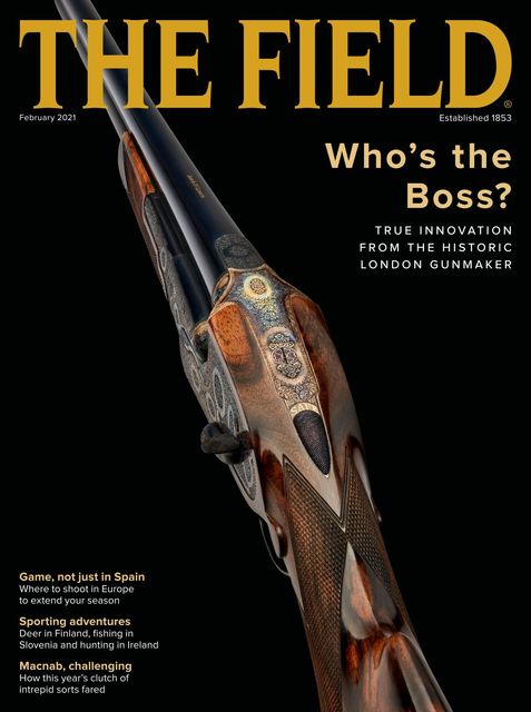 The Field Magazine - issue 02/2021