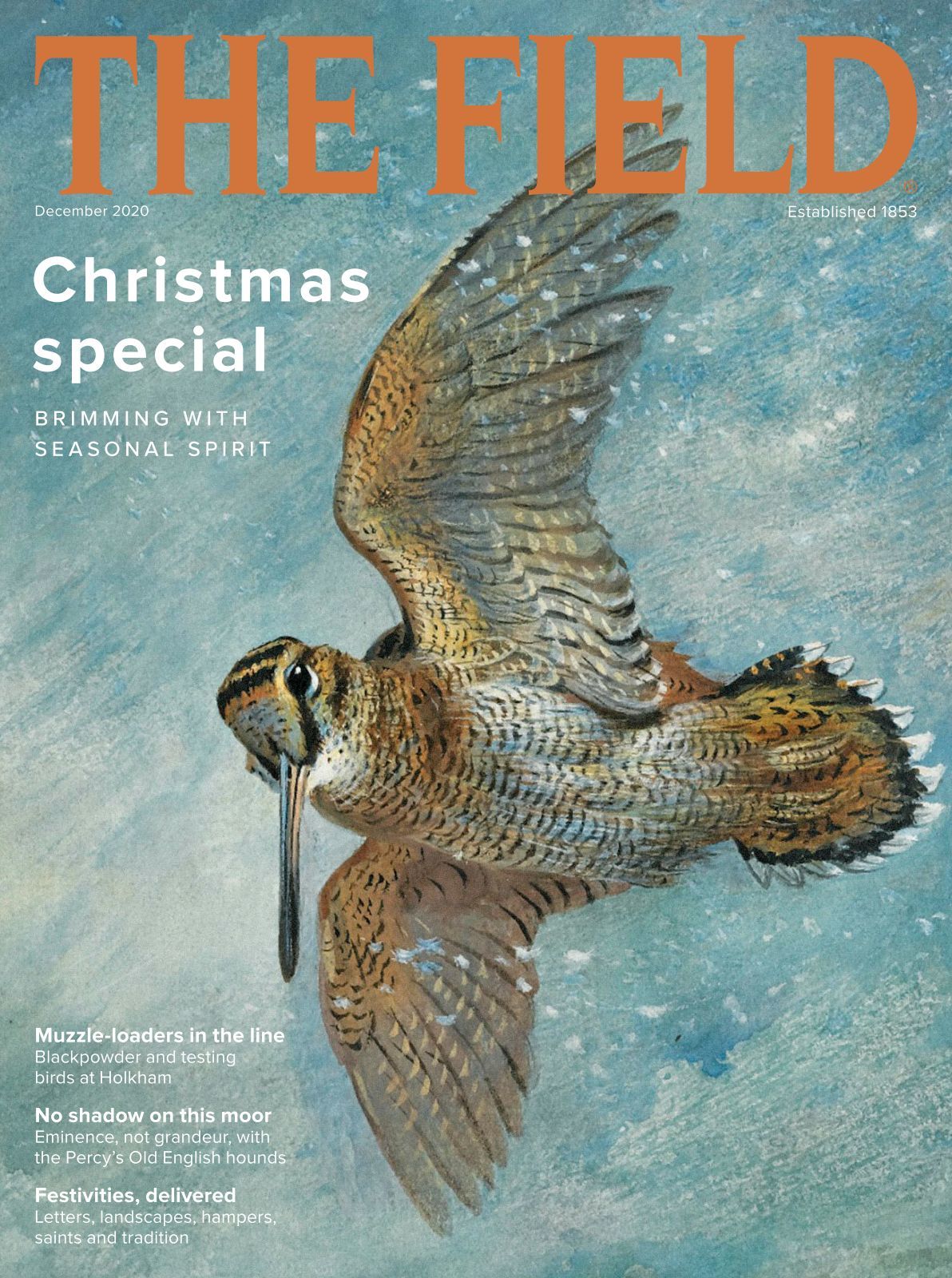 The Field Magazine - issue 12/2020