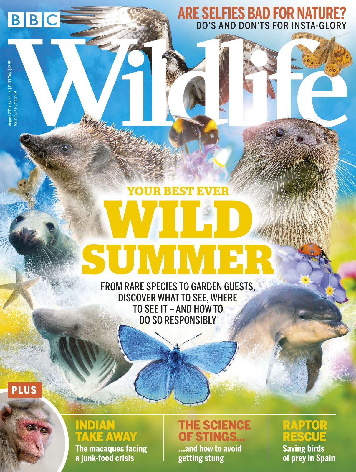 BBC Wildlife - issue 08/2019