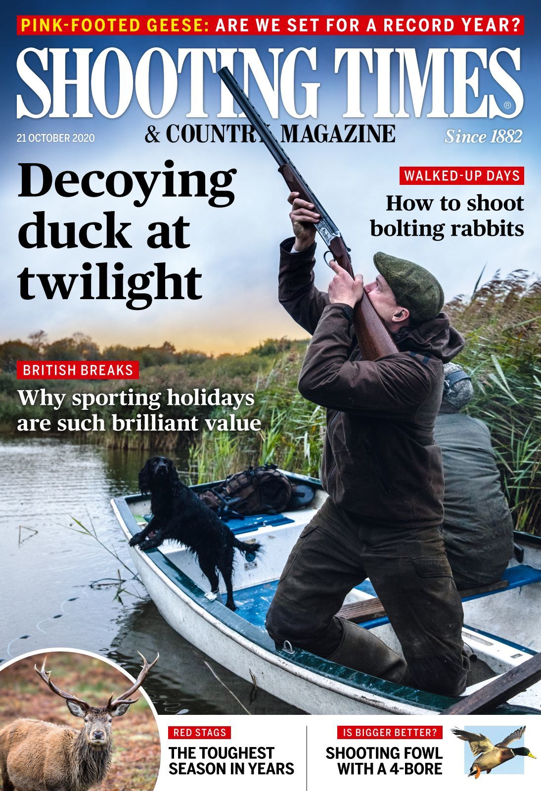 Shooting Times & Country Magazine - 2020-10-21