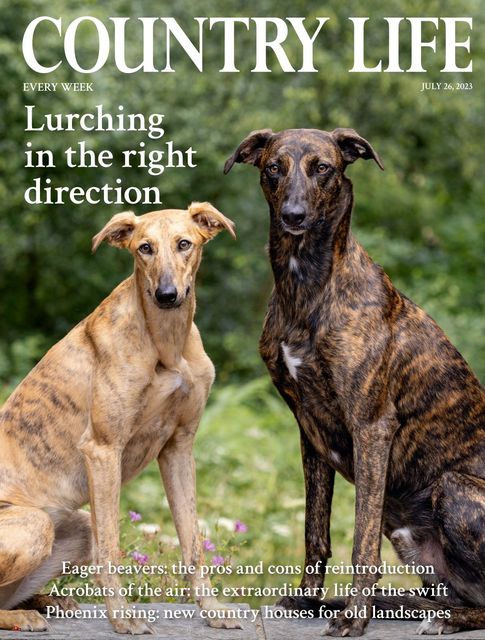Country Life Magazine - 2023-07-26
