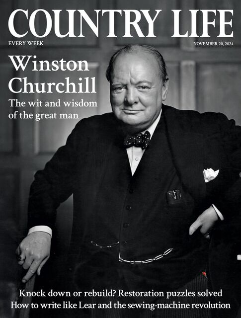 Country Life Magazine - 2024-11-20