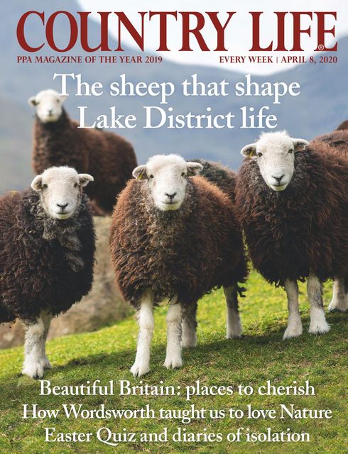 Country Life Magazine - 2020-04-08