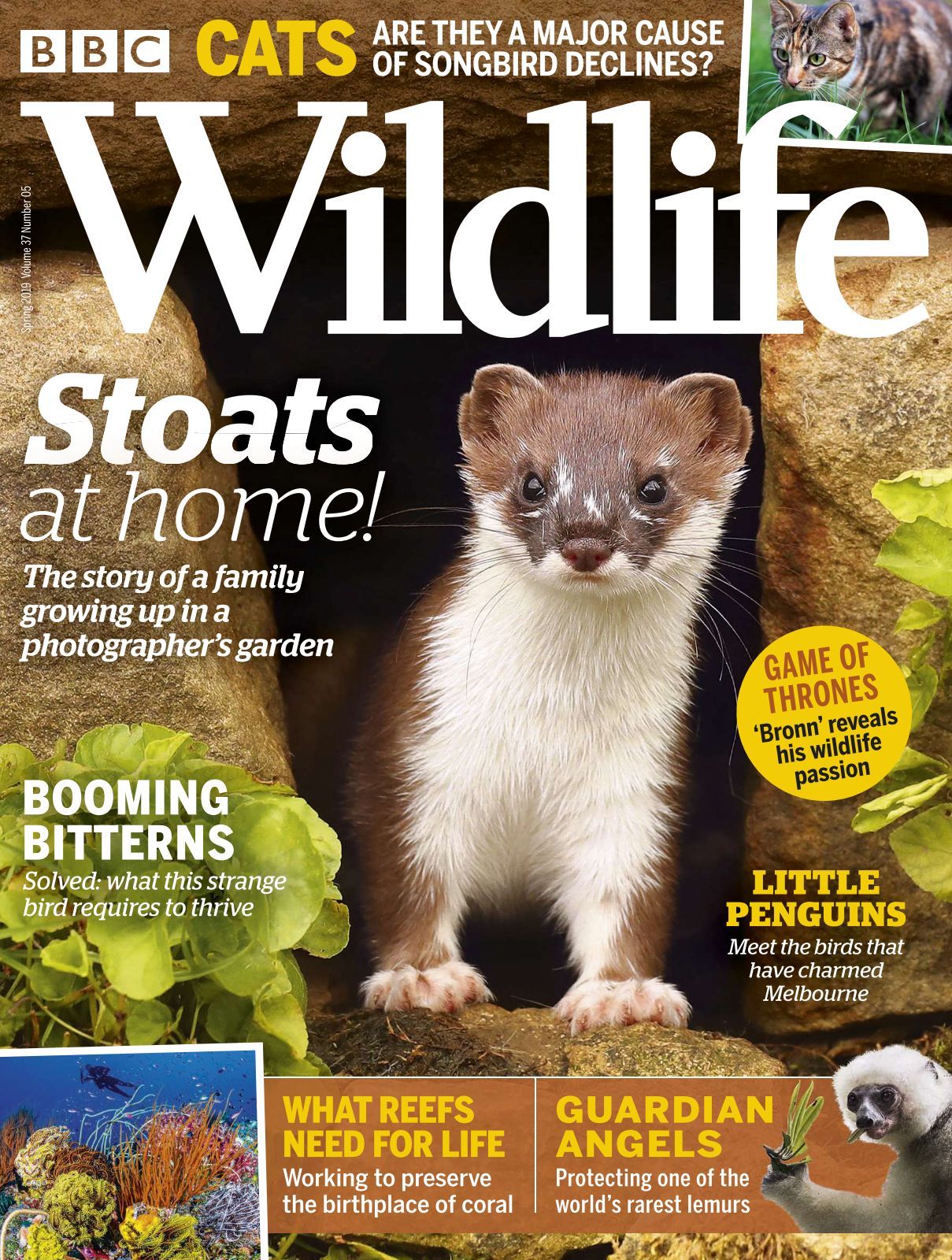 BBC Wildlife - issue Spring 2019