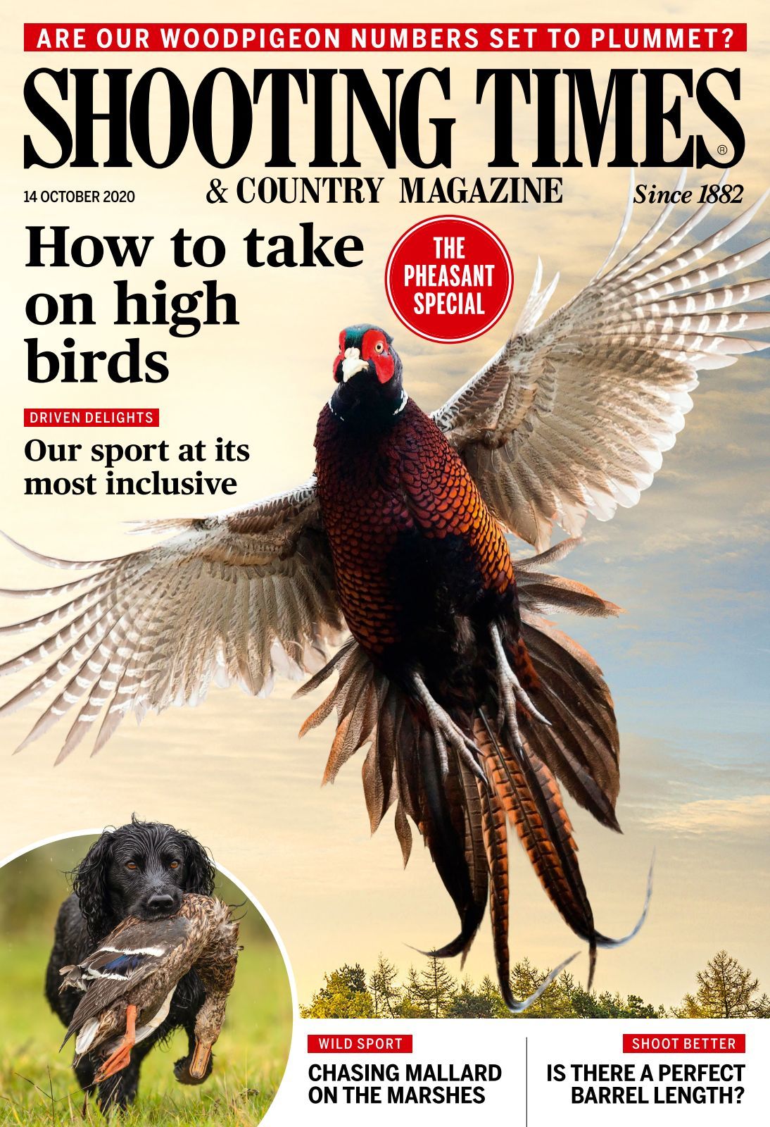 Shooting Times & Country Magazine - 2020-10-14