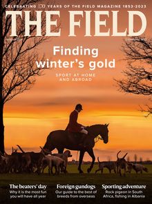 The Field Magazine - 2023-08-17