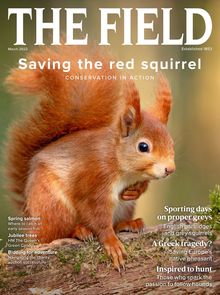 The Field Magazine - issue 02/2021