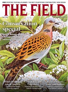 The Field Magazine - 2024-02-15