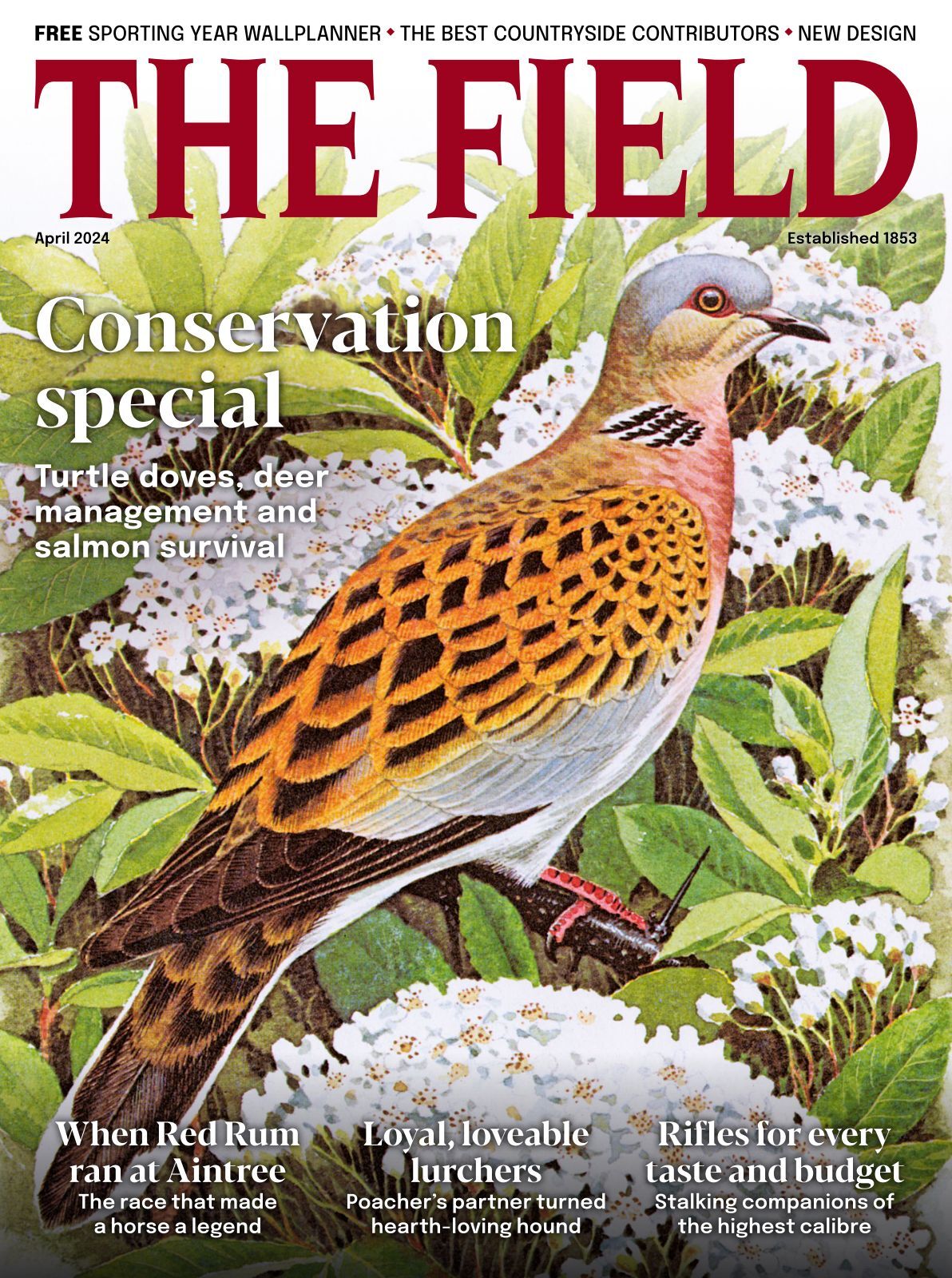 The Field Magazine - 2024-03-14