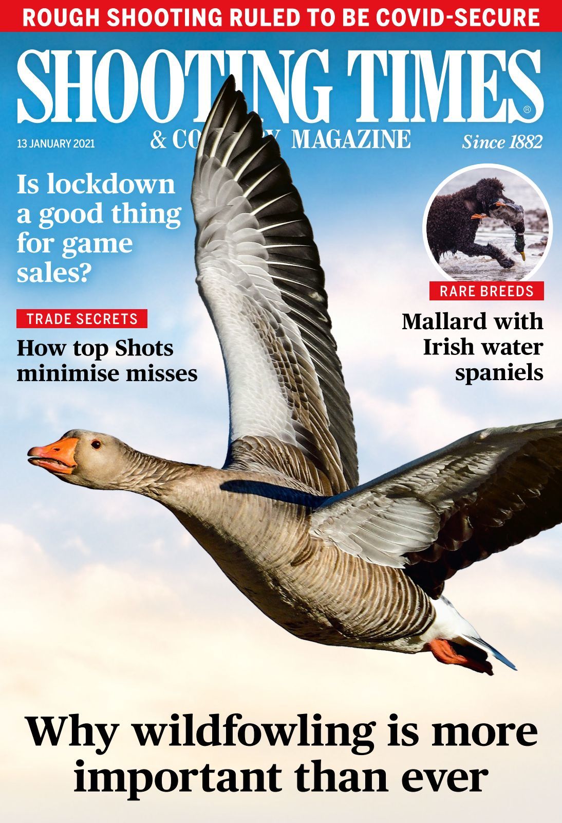 Shooting Times & Country Magazine - 2021-01-20