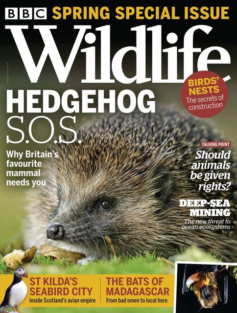BBC Wildlife - Spring Special issue 2021