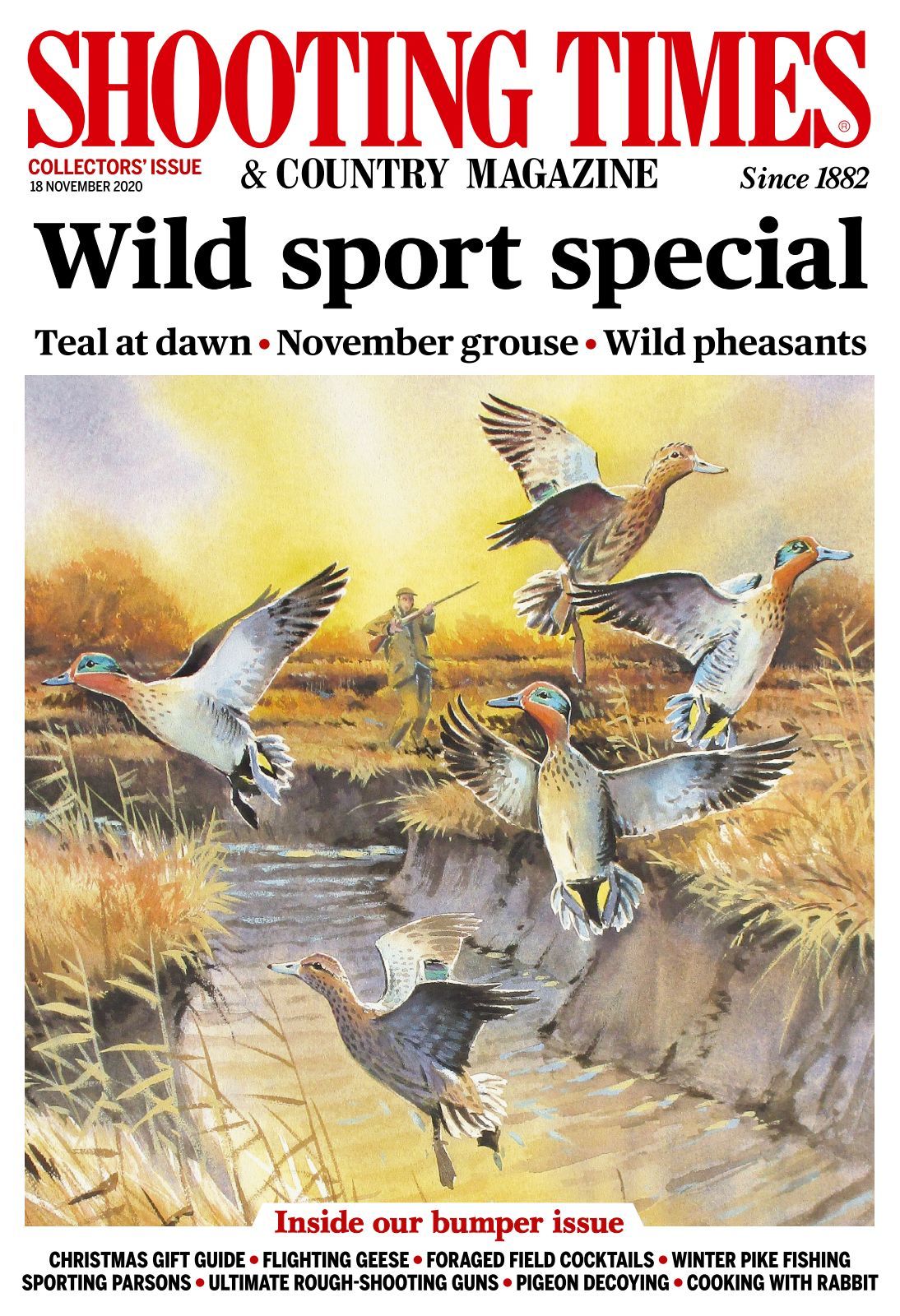 Shooting Times & Country Magazine - 2020-11-18